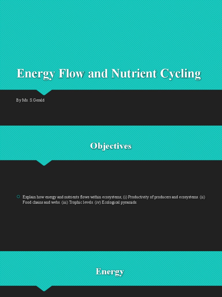 Ecosystem Energy and Nutrient Flow | PDF | Food Web | Photosynthesis