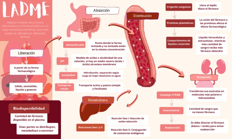 Ladme: Absorción | PDF | Biología Celular | Bioquímica