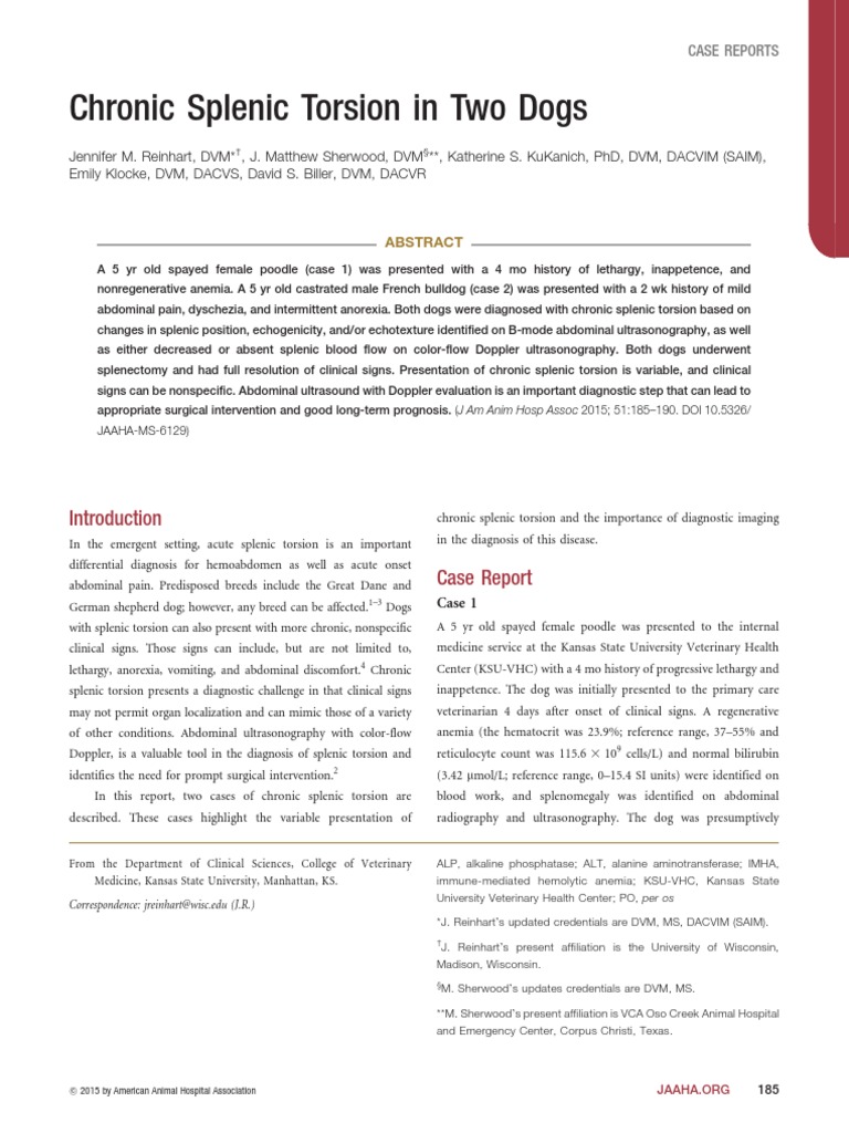 Chronic Splenic Torsion in Dogs | PDF | Spleen | Medical Ultrasound