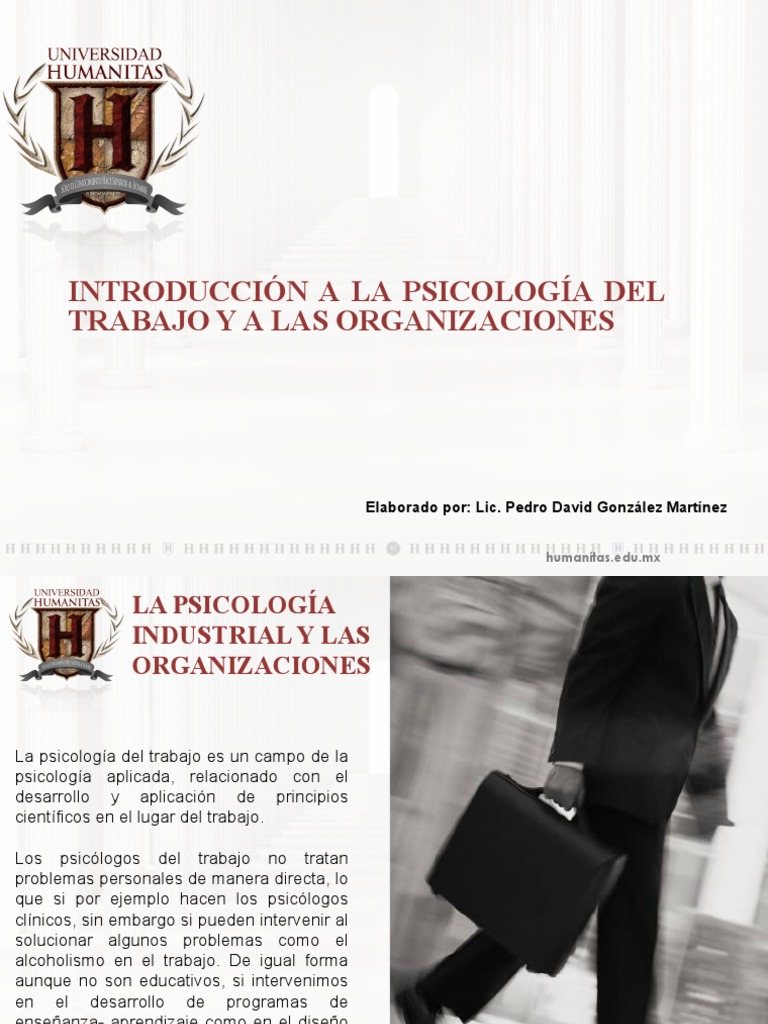 Introducción A La Psicología Del Trabajo | PDF