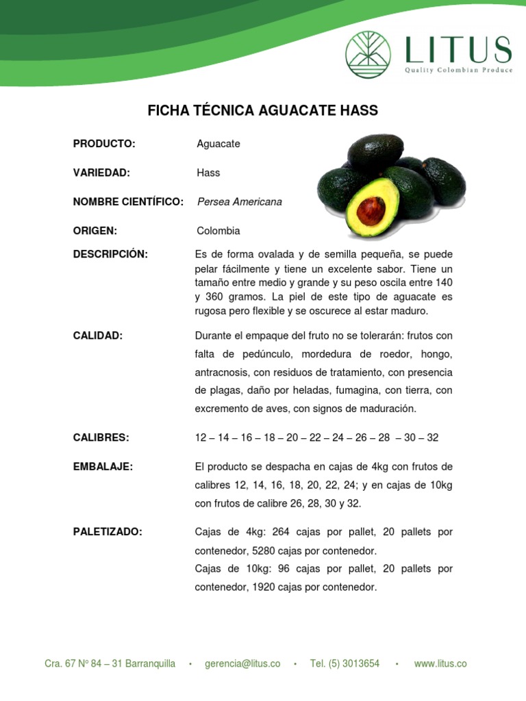 Ficha Técnica Aguacate Hass - 0 | PDF