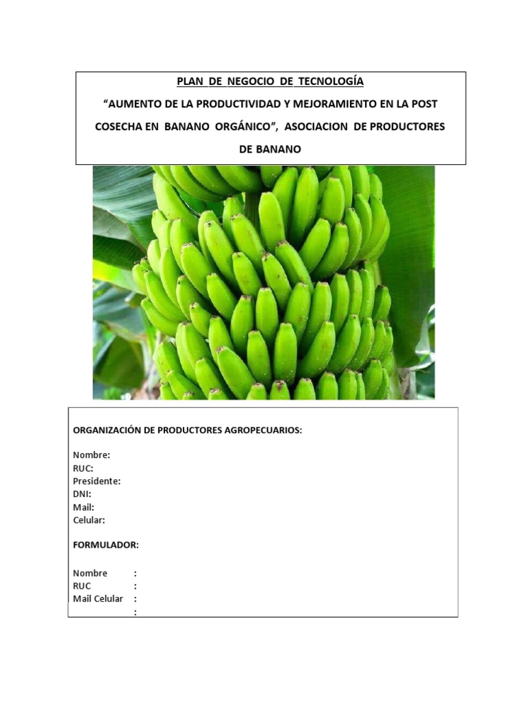 Modelo PNT Banano | PDF | Marketing | Agricultura