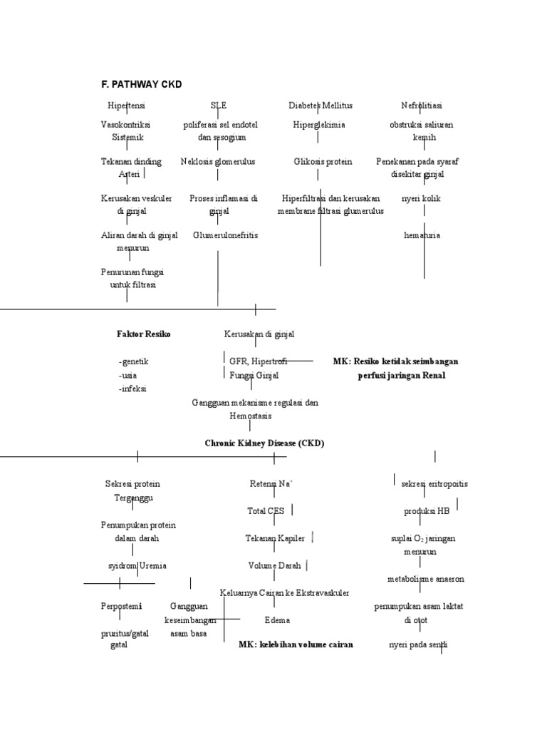 Pathway CKD | PDF