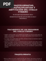 Efecto Poseiro | PDF | Placenta | Feto