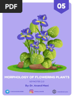 Plant Kingdom Notes | PDF | Biology | Horticultural Techniques