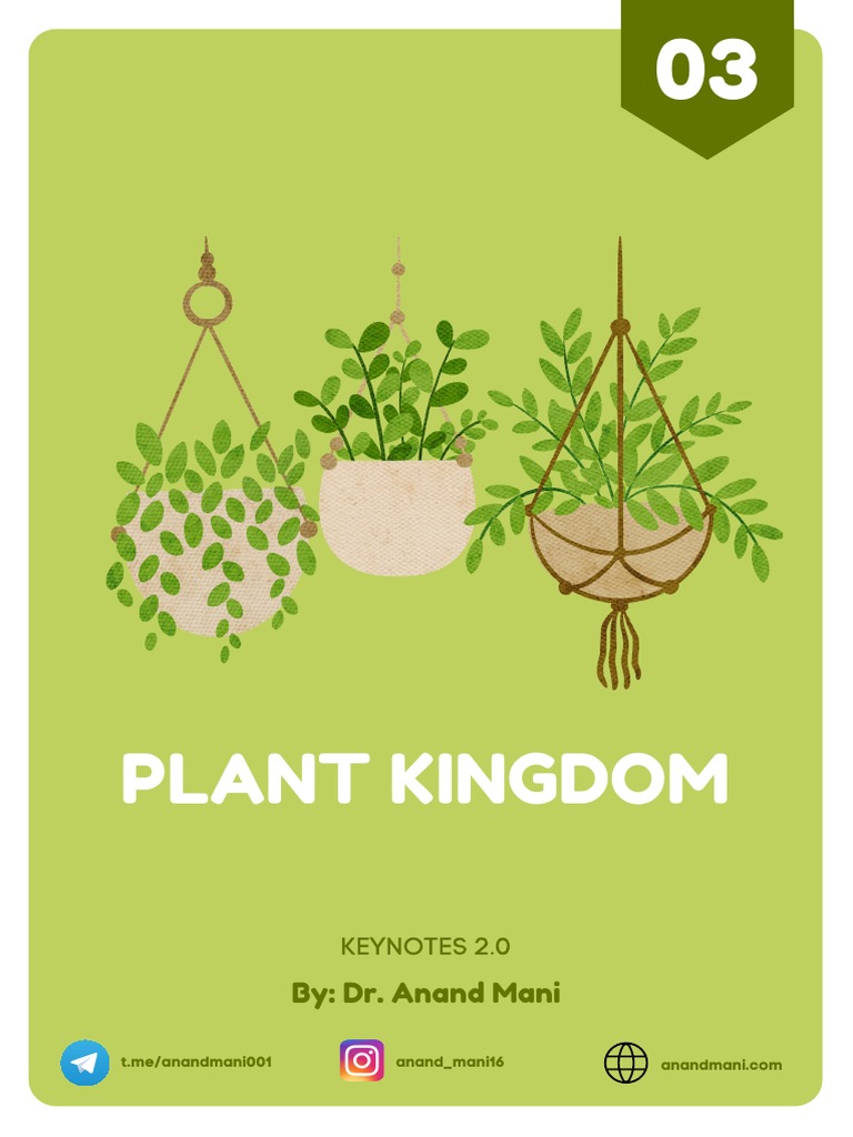 Plant Kingdom | PDF