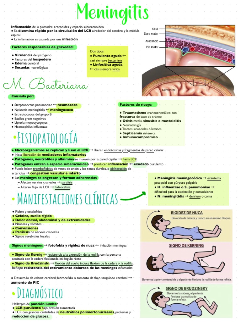 Meningitis | PDF | Meningitis | Medicina CLINICA