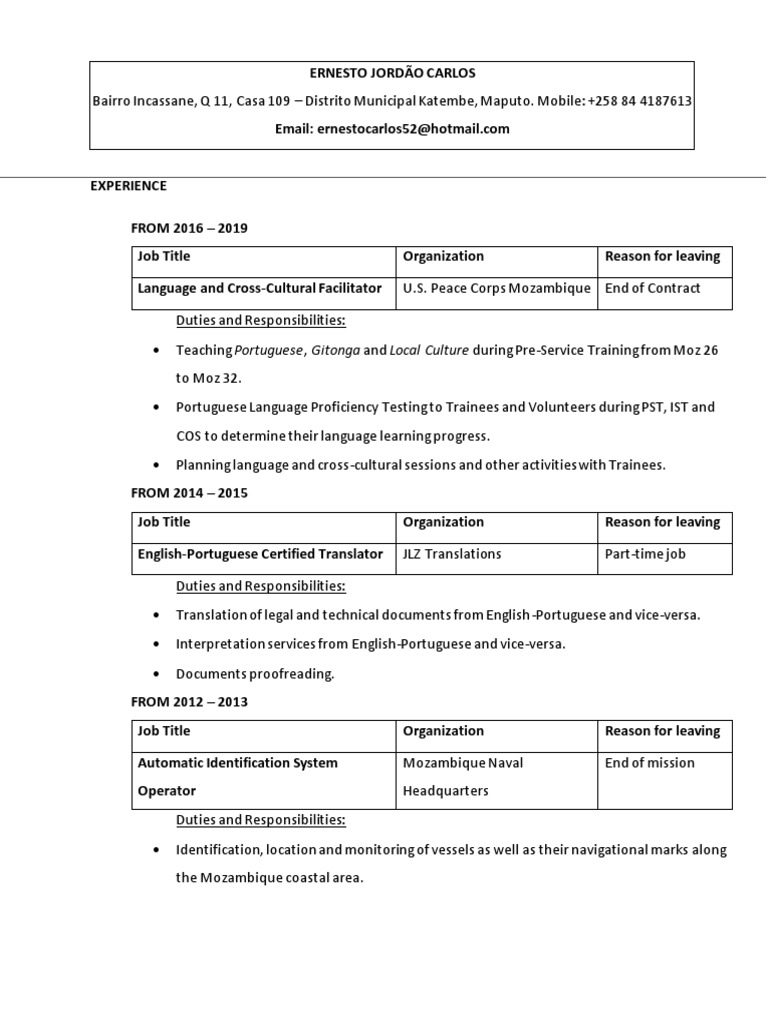 CV Ernesto Carlos | PDF | Mozambique | Computing