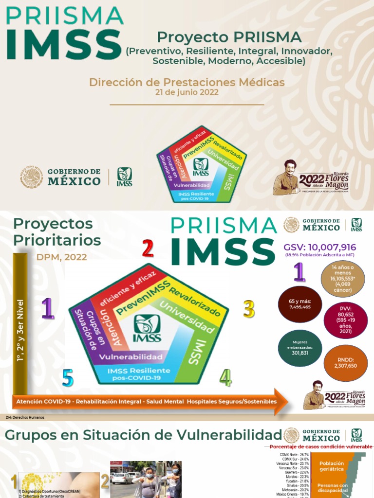 PRIISMA: Salud Inclusiva y Equitativa | PDF | Amamantamiento | VIH