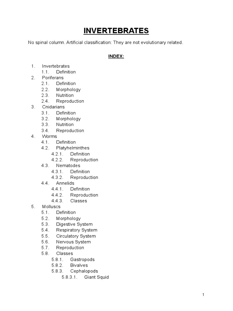 Unit 7 (Invertebrates) | PDF | Invertebrate | Mollusca