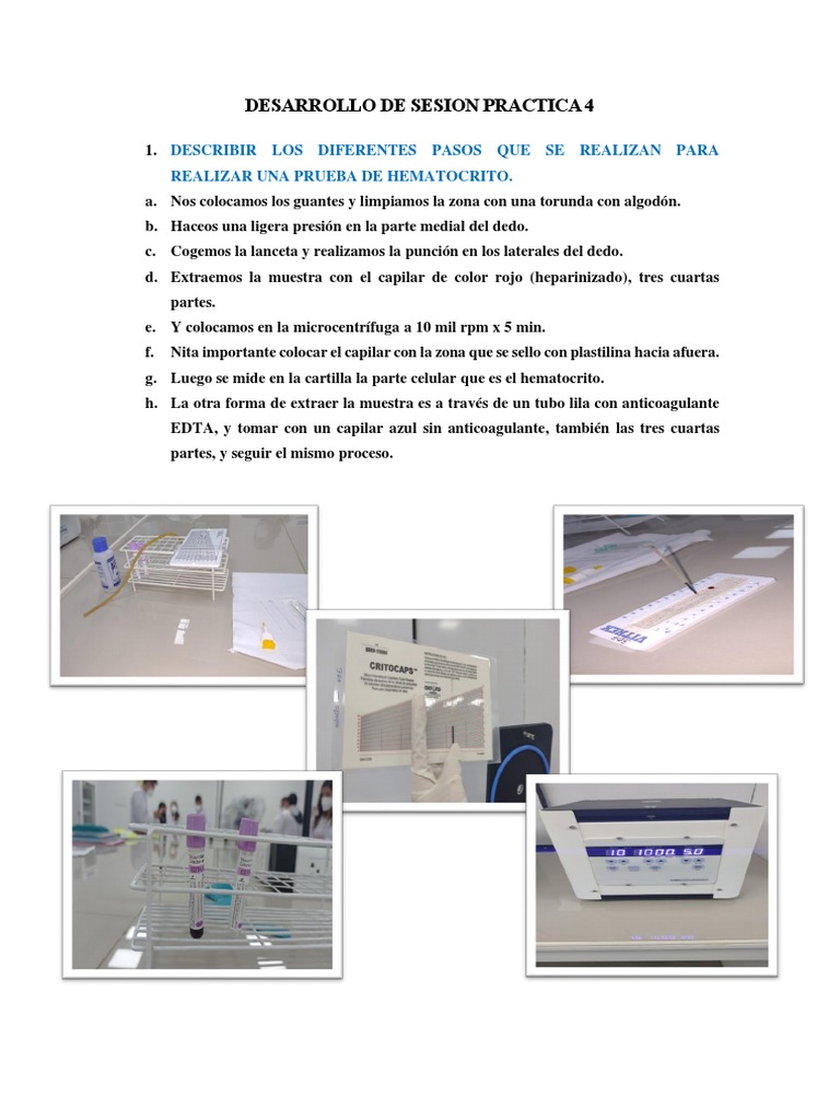 Desarrollo de Sesion Practica 1 | PDF | Ciencias fisicas | Química