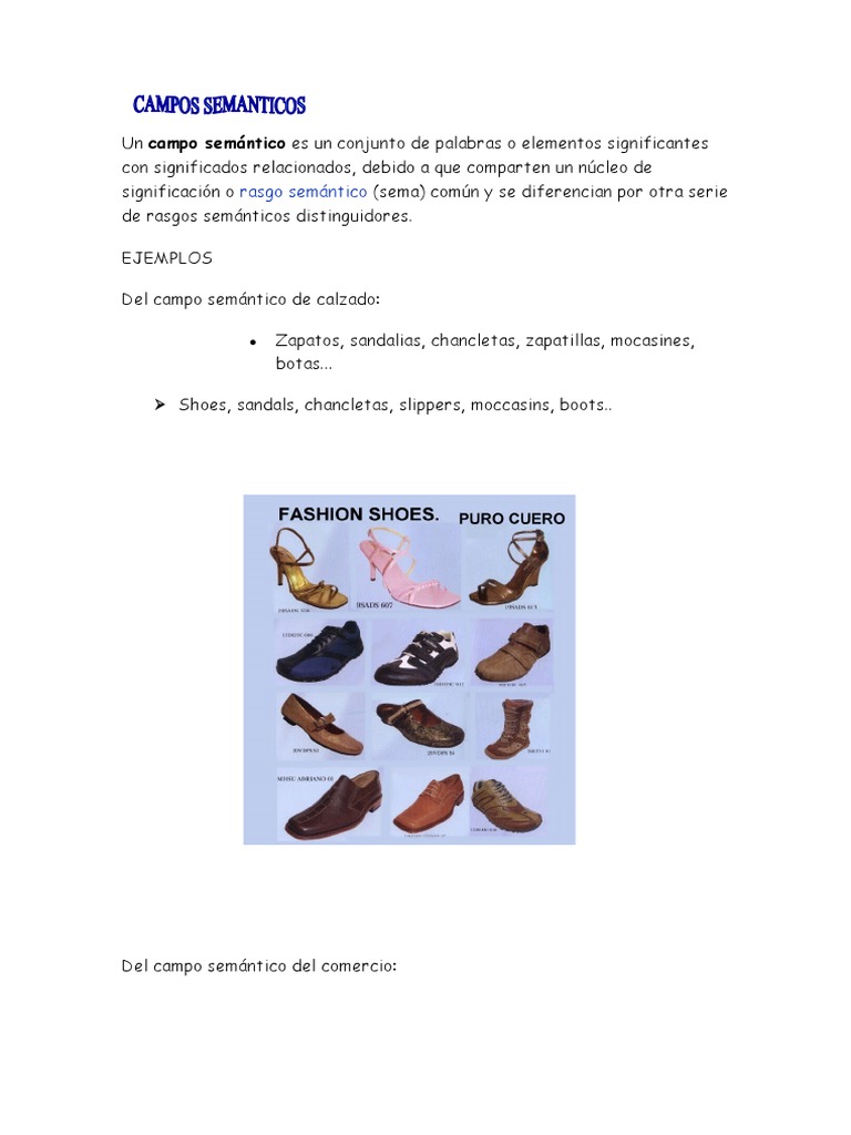 Campos Semanticos | PDF