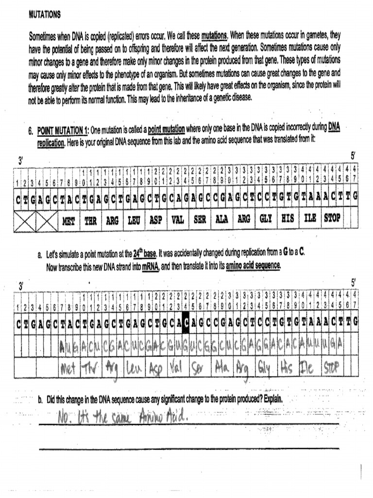 Mutations Lab-Jesus Anaya | PDF | Point Mutation | Mutation