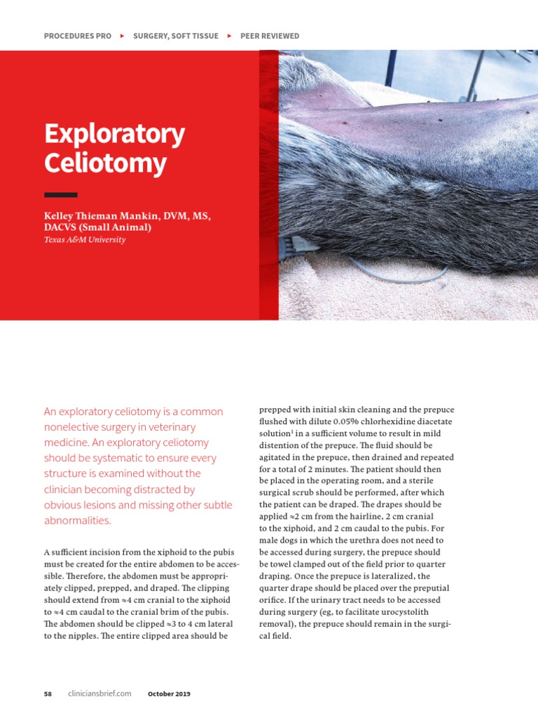 (AI) Exploratory Celiotomy | PDF | Abdomen | Morphology (Biology)