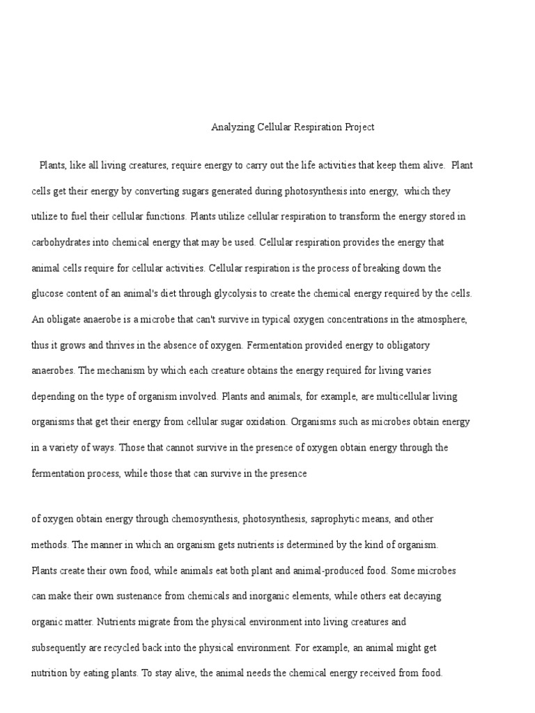 Analyzing Cellular Respiration Project | PDF | Cellular Respiration ...