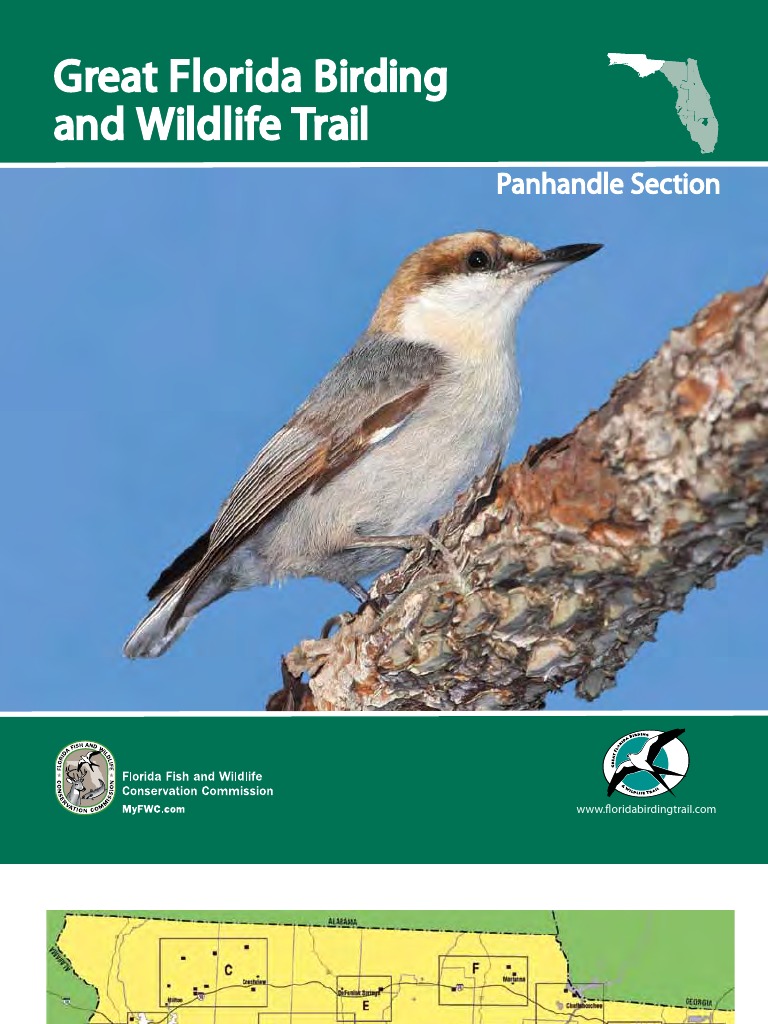 Panhandle Great Florida Birding and Wildlife Trail Guidebook | PDF ...