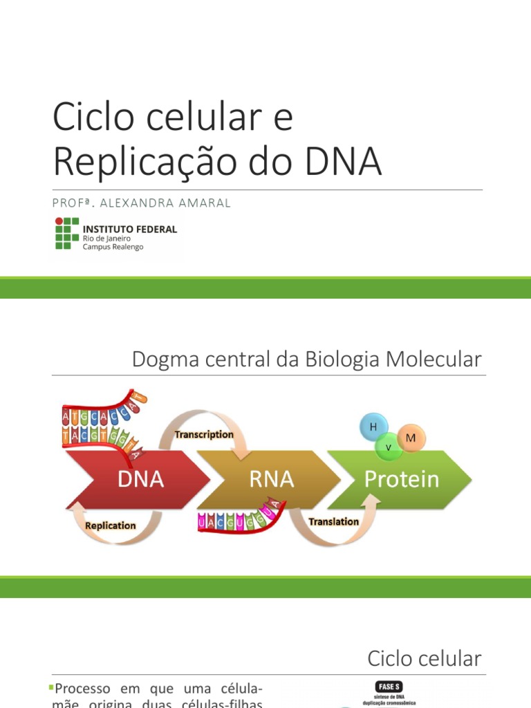 Aula 3 Ciclo Celular E Replicação Do Dna Pdf Replicação De Dna Dna