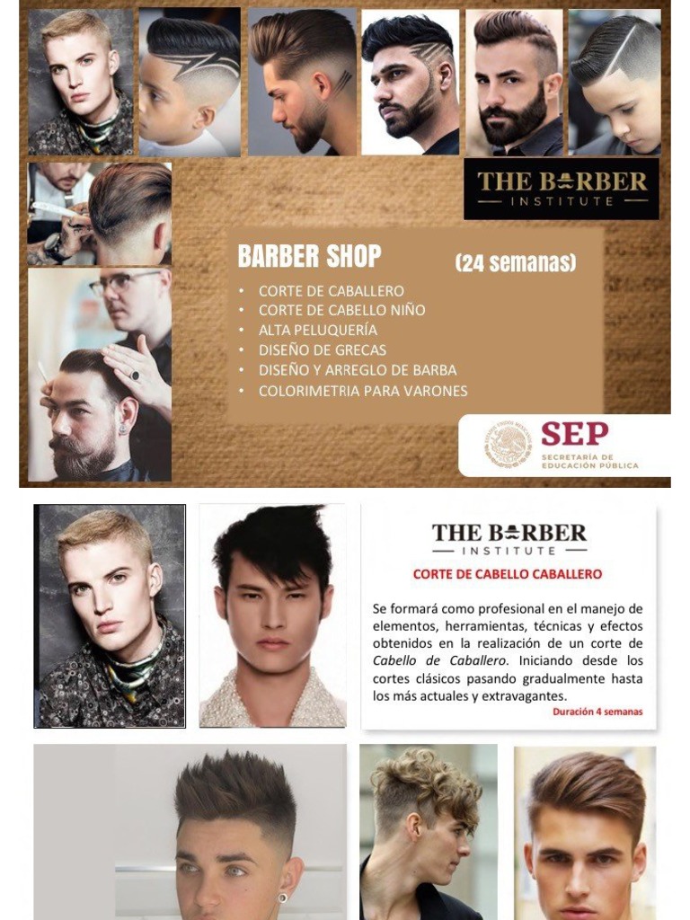 Dip. Barber Shop | PDF