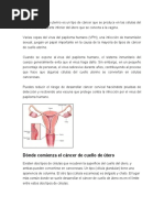 Triptico Cáncer Cervicouterino | PDF | Cáncer de cuello uterino | Cáncer
