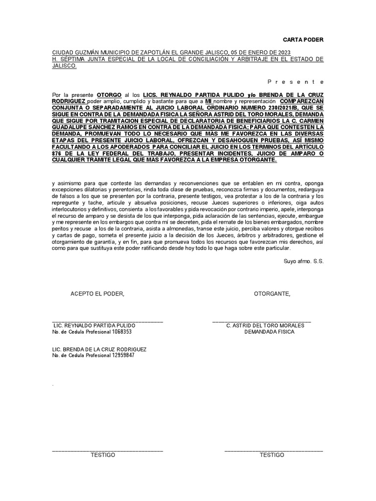 Ejemplo de Carta Poder | PDF | Ley Pública | Judicaturas