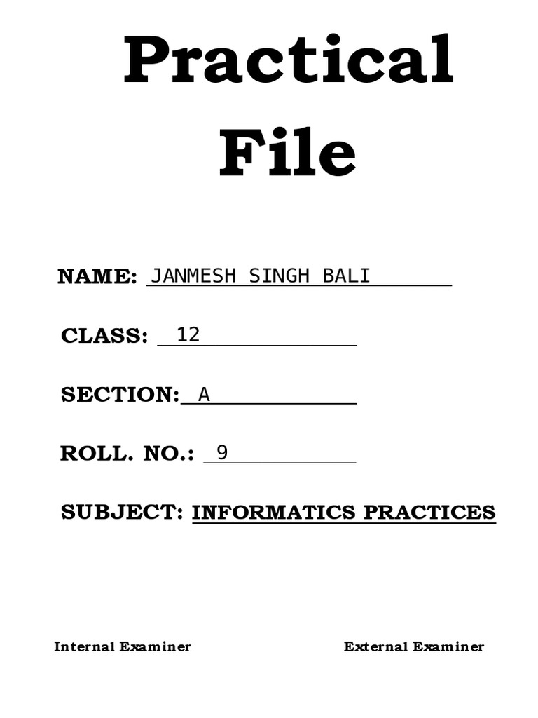 I.P. Practical File | PDF | Loans | Databases