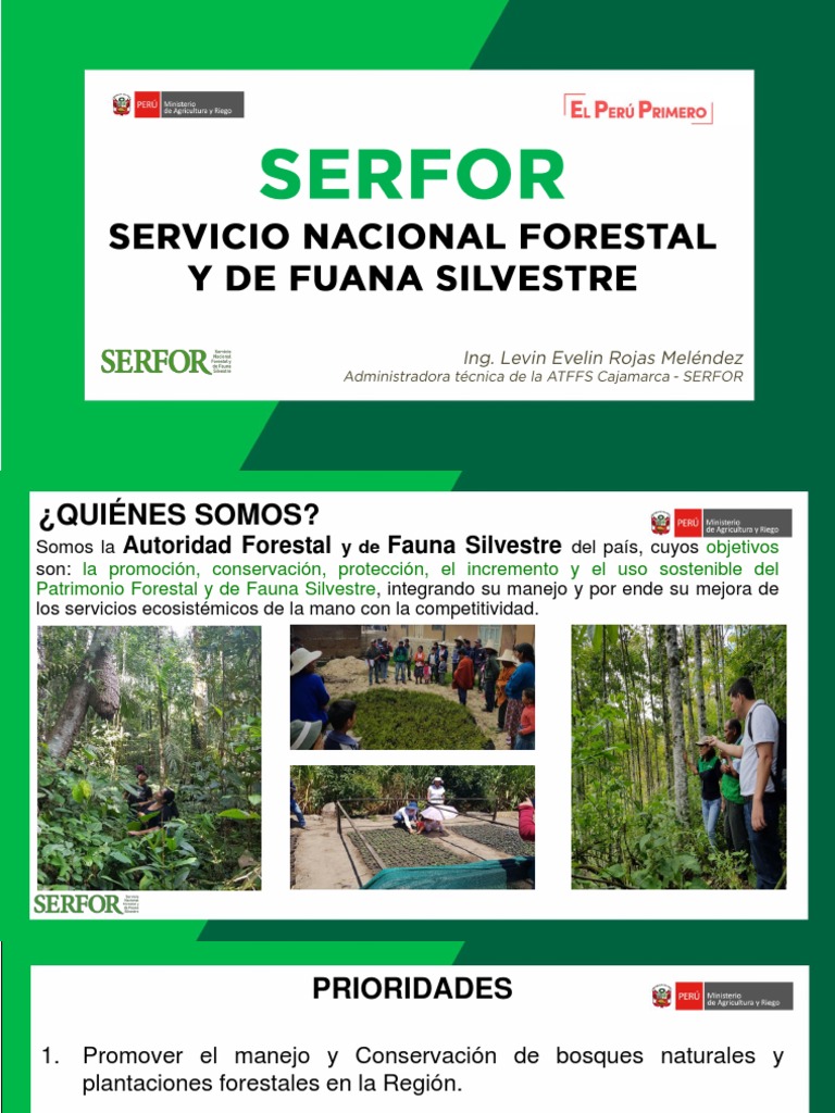 Servicios Serfor | PDF