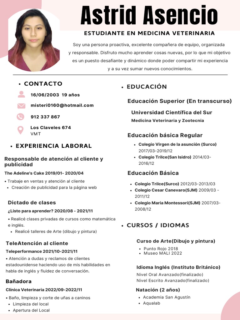 Curriculum Asencio Castillo Astrid | PDF