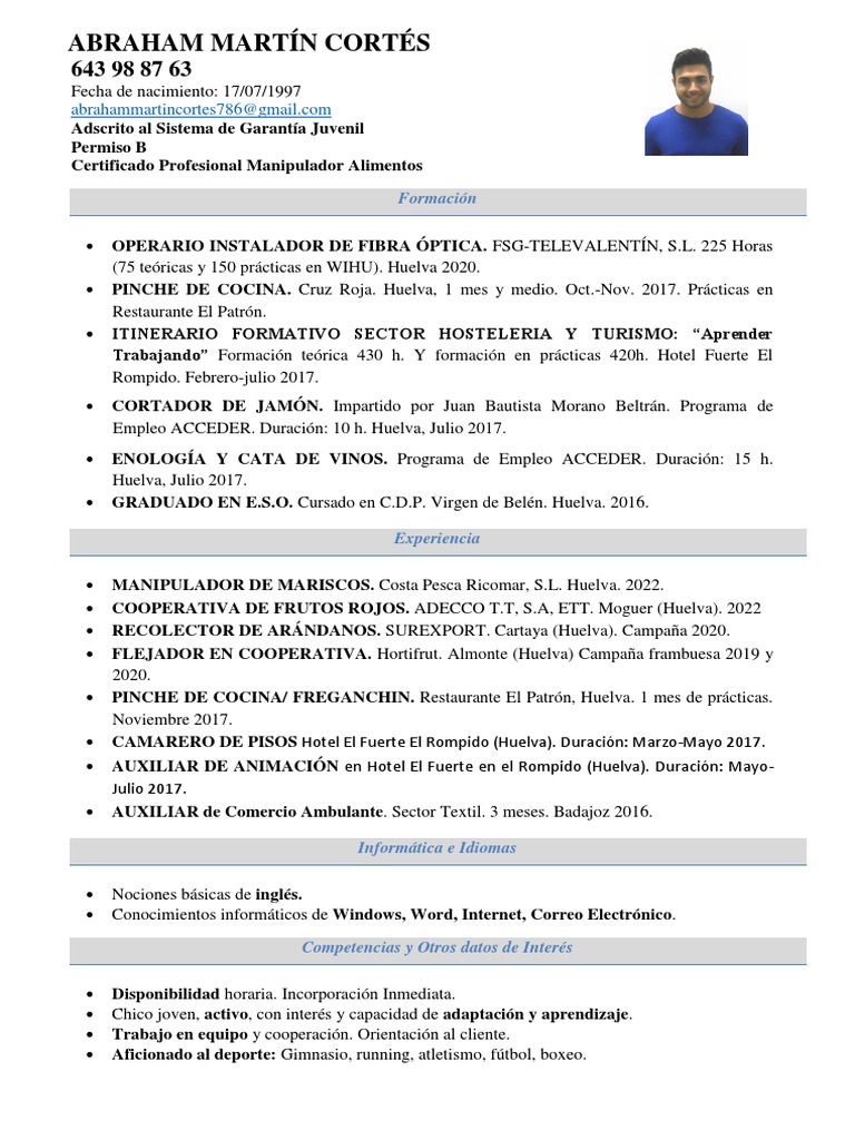 CV, Abraham Martín Cortés Actualizado | PDF