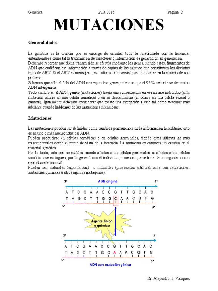 Documento Mediado - Genética Humana y Mutaciones | PDF | Mutación | Cáncer