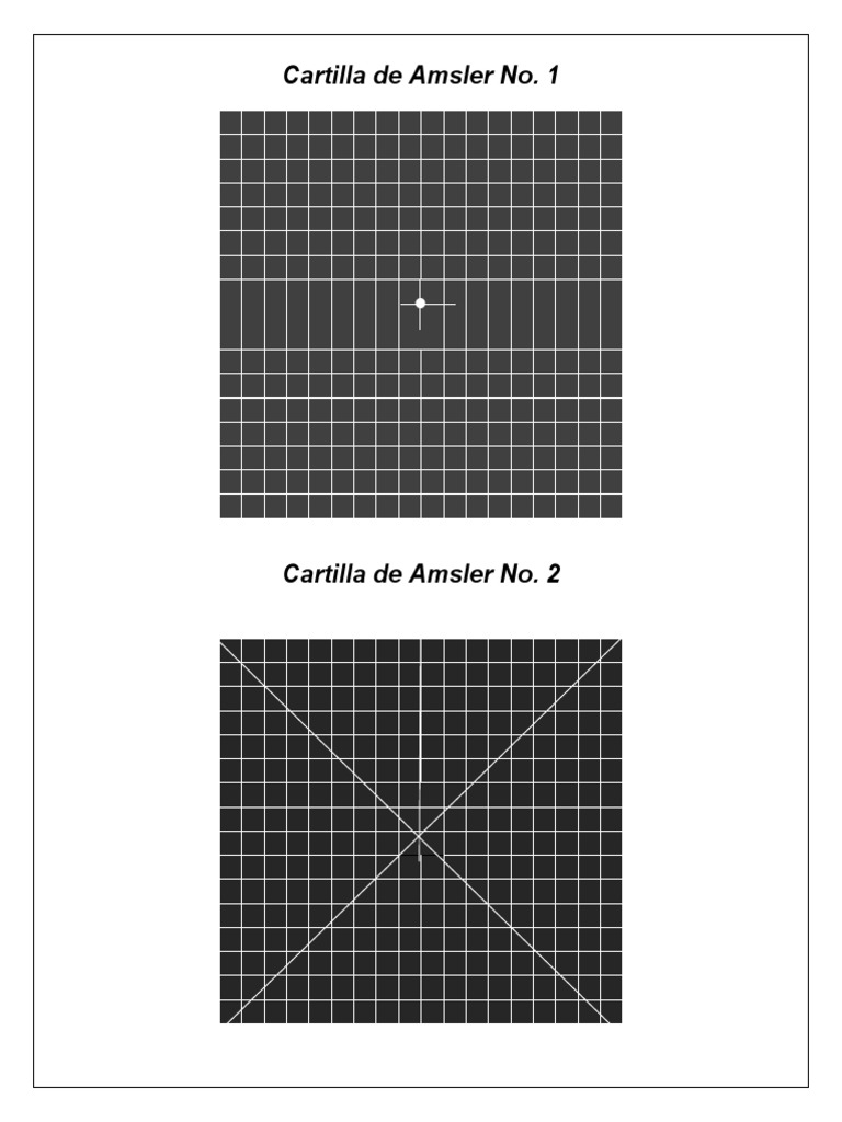Cartillas de Amsler | PDF
