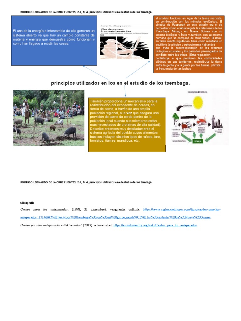Principios del estudio de los Tsembaga | PDF | Naturaleza
