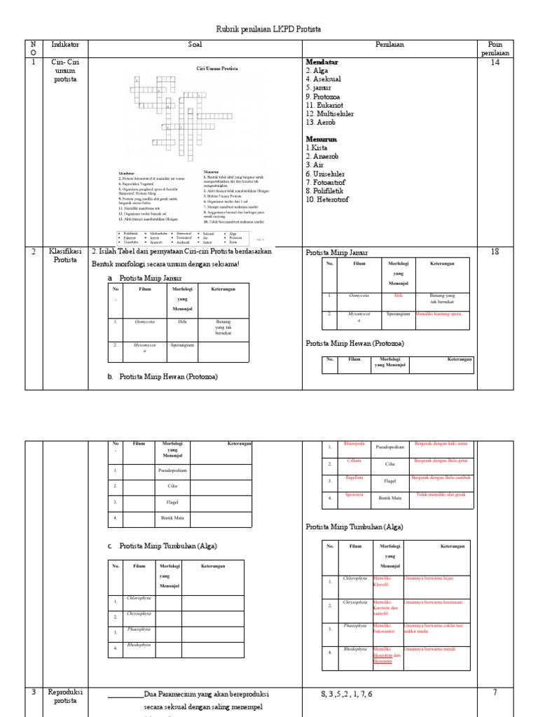 Rubrik Penilaian LKPD Protista | PDF