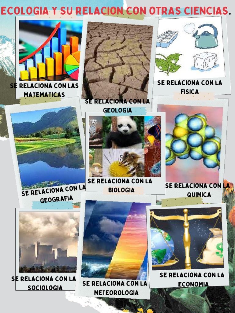 Collage de Ecologia | PDF