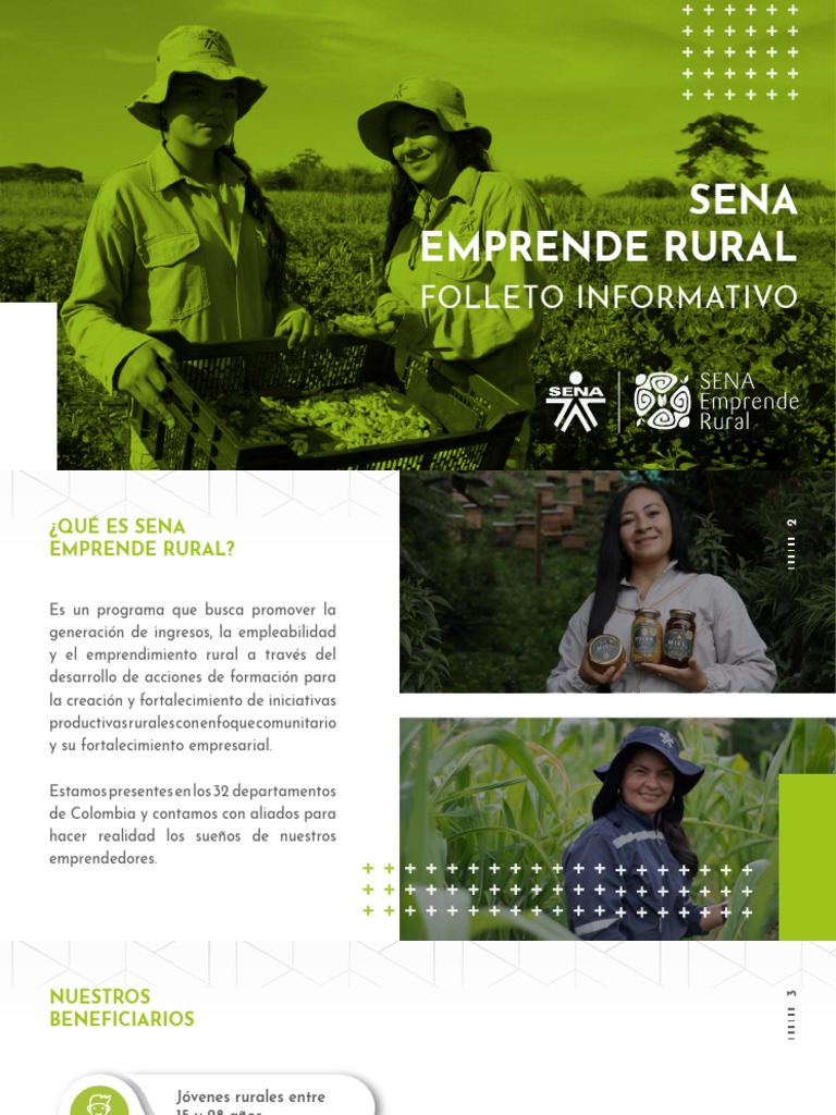 Anexo 2 Folleto Descargable Programa SER | PDF | Iniciativa empresarial ...