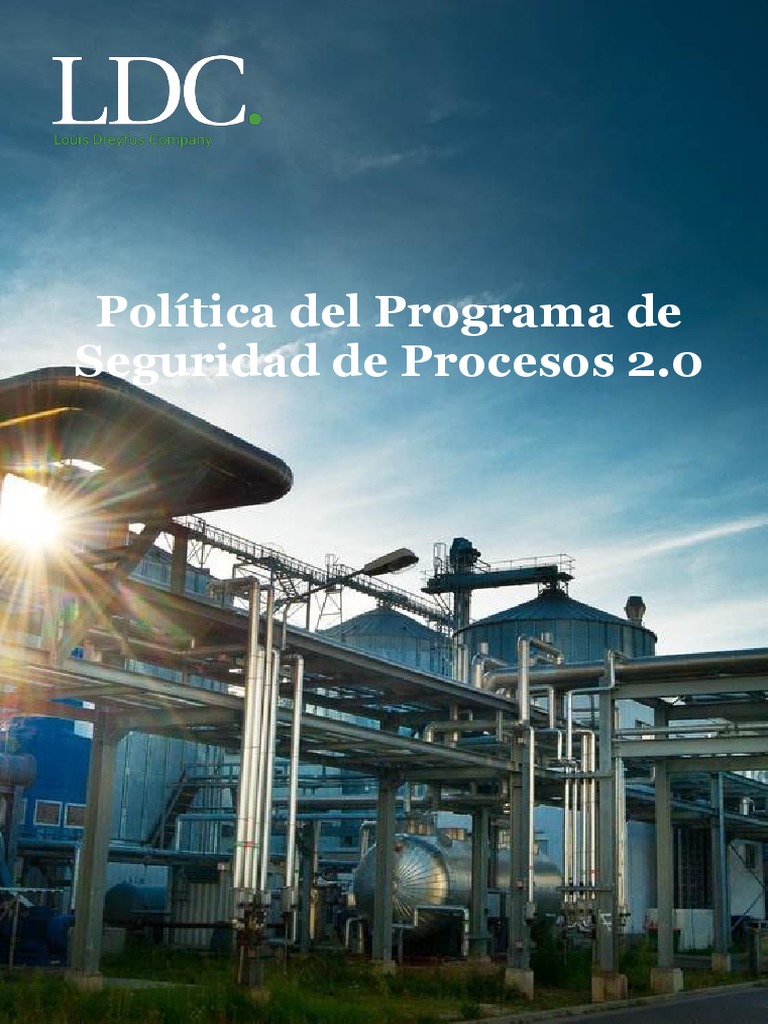 Nuevo Psm2.o | PDF | Riesgo | Auditoría