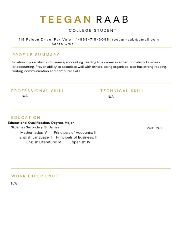 White Gold Elegant Minimalist ATS Data Analyst Resume CV A4 Printable | PDF