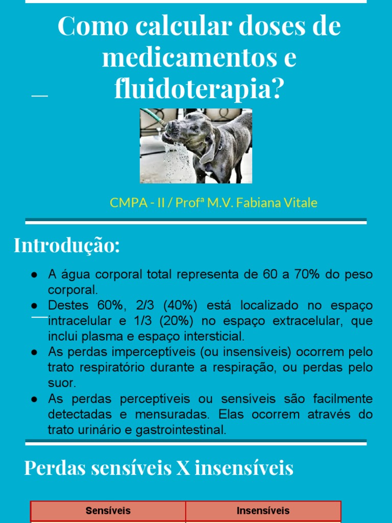 Fluidoterapia Cálculo Doses | PDF | Receita médica | Concentração