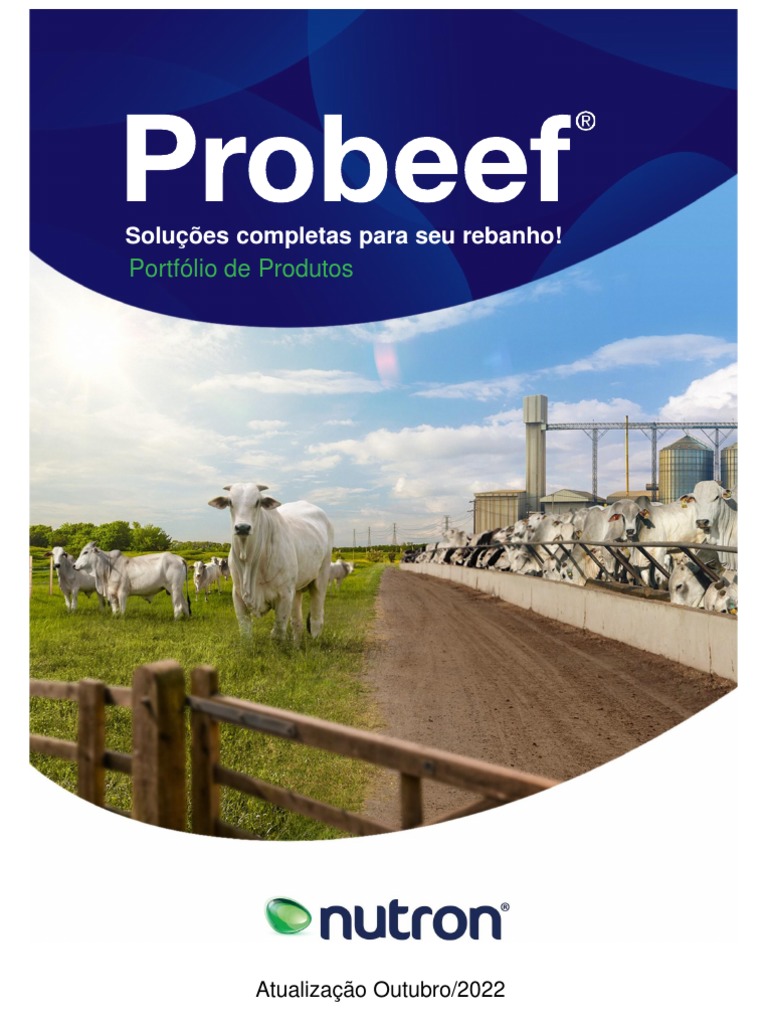 Portfolio Probeef 10 - 2022 | Download grátis PDF | Nutrientes | Magnésio
