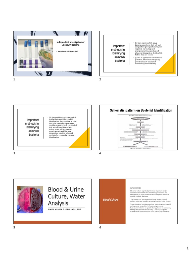 Student M10 Independent Identification of Unknown Bacteria and ...