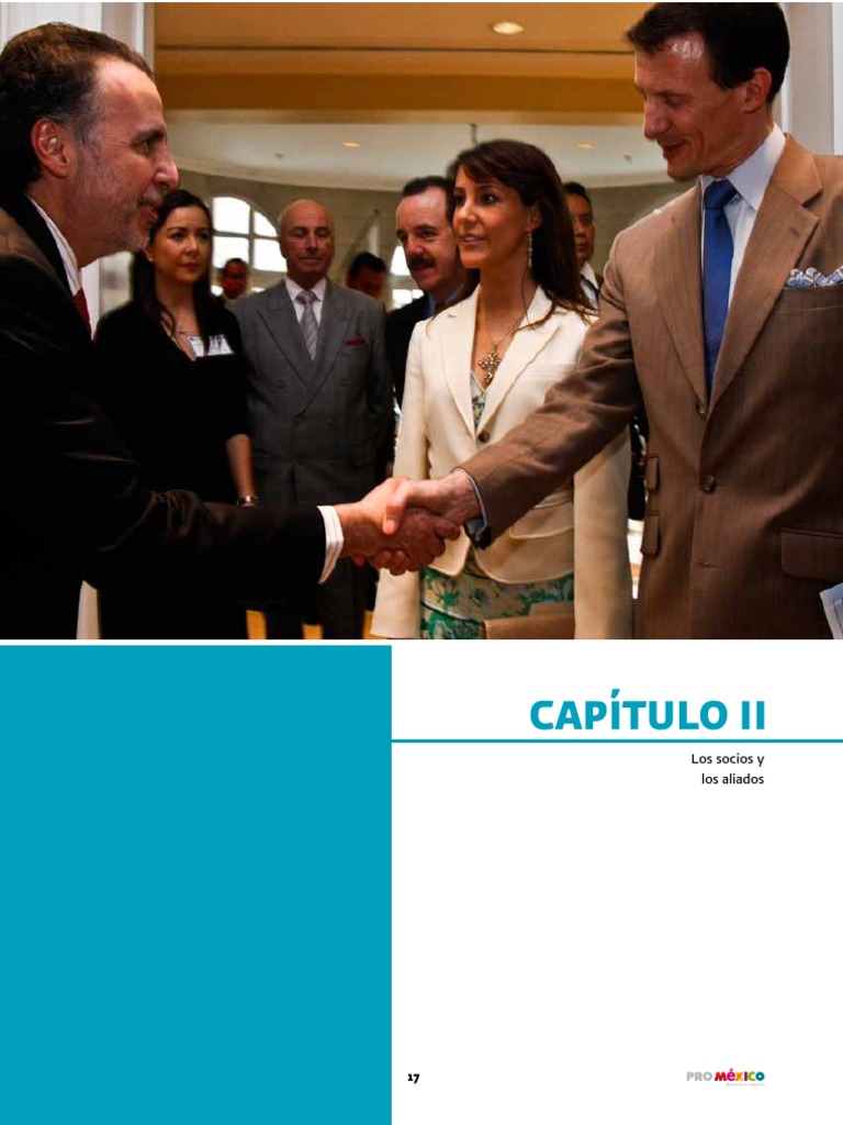 Tipos de Socios en Alianzas Estratégicas | PDF | Mercado (economía ...