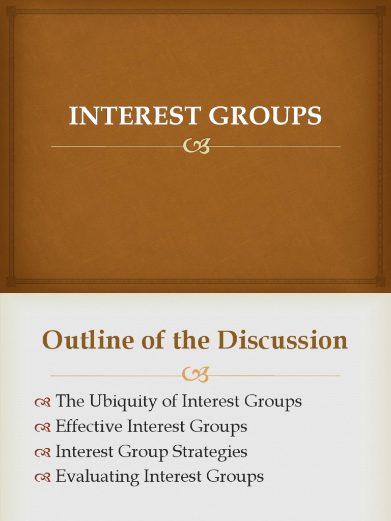Interest Group Strategies Explained | PDF | Political Science