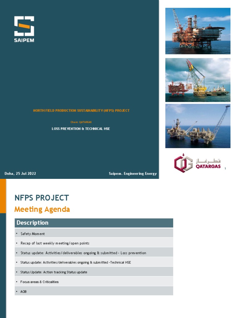 NFPS Project HSE Meeting Agenda | PDF | Safety