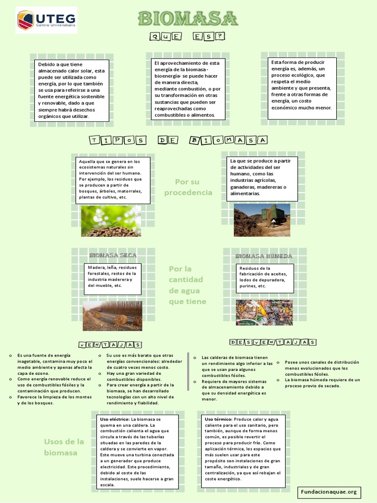 Infografía Biomasa | PDF | Bioenergía | Recursos energéticos