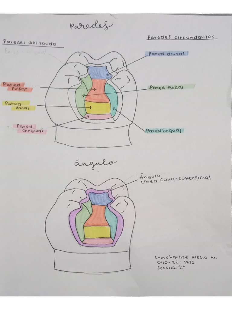 Paredes y Ángulos Erin Charlize Alecio | PDF