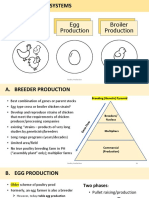 Poultry Reproduction Explained | PDF | Reproductive System | Egg