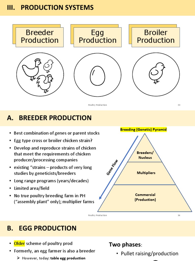 Handout 7. Poultry Production Systems | PDF | Poultry Farming | Chicken