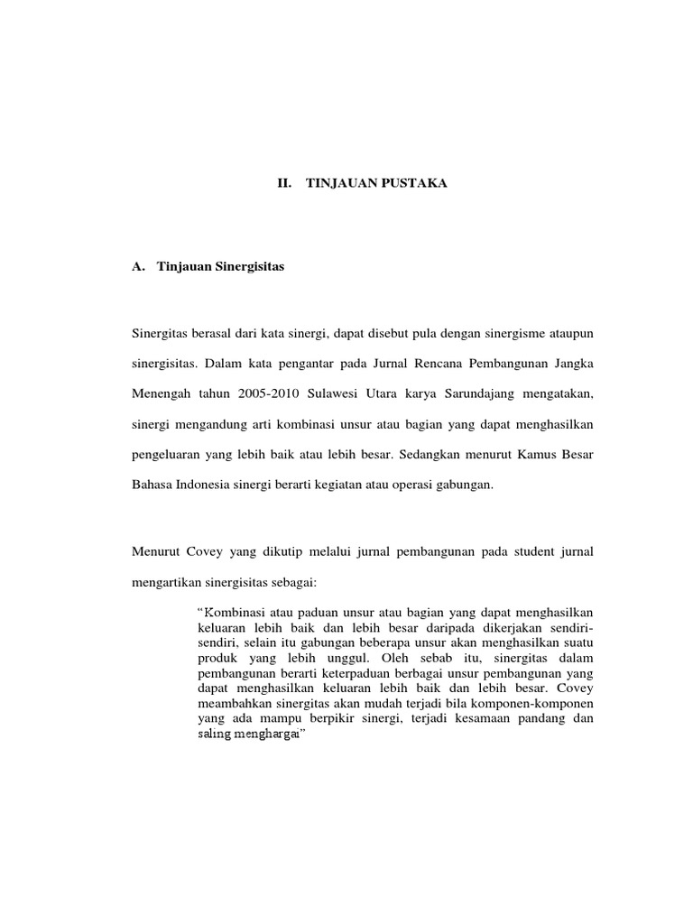 Arti dan Teori Sinergitas dalam Pembangunan | PDF