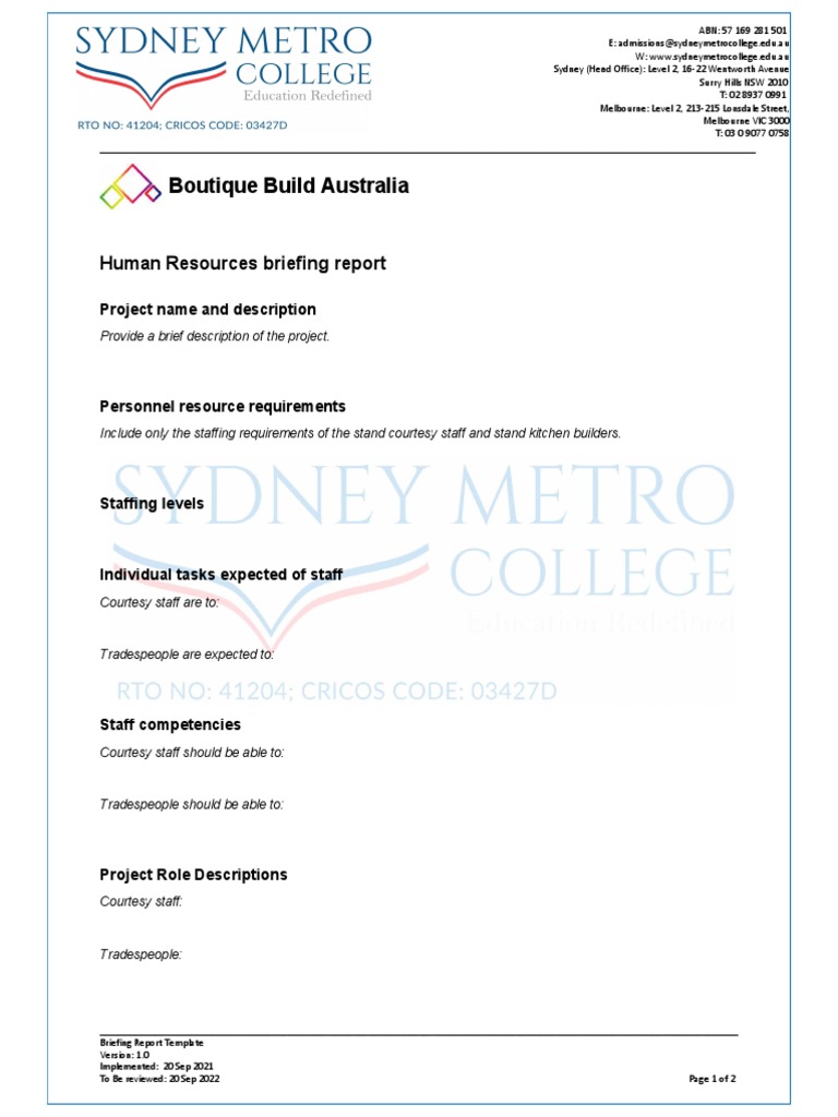 Briefing Report Template 2 | PDF | Business