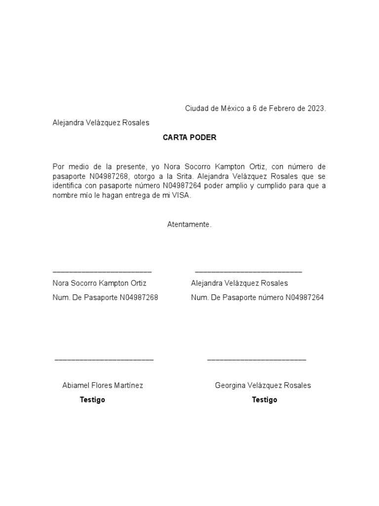 Carta Poder Visa | PDF