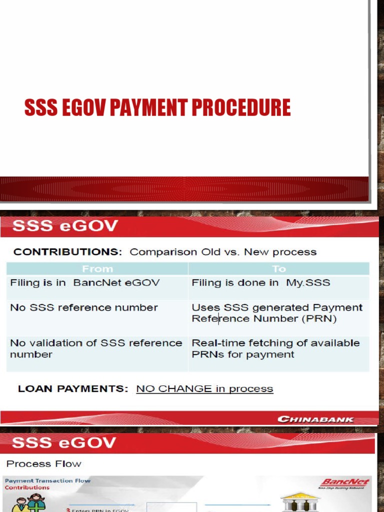 SSS eGov Payment Guide | PDF